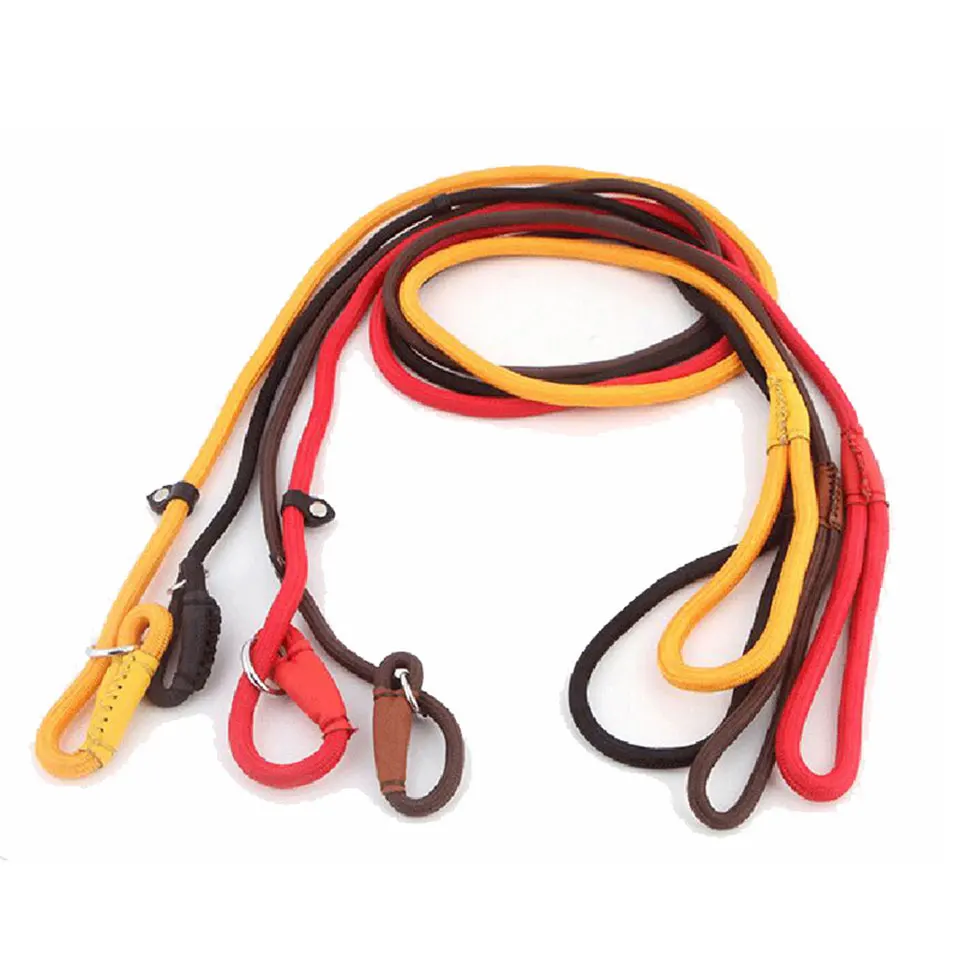 Petcircle Pet Dog Leash Traction Rope Pet Dogs Nylon for Small and ...