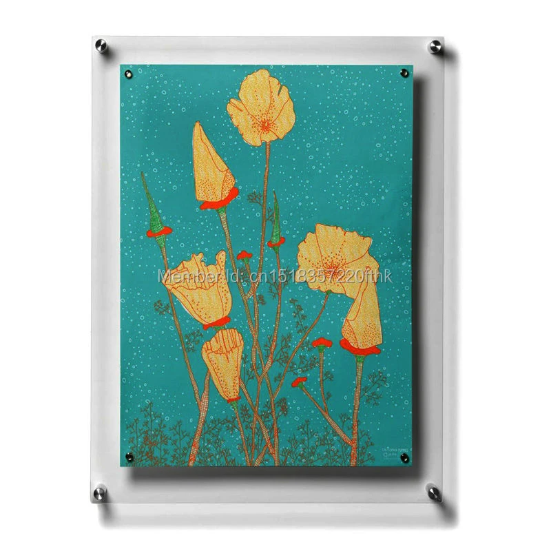 (Pack/5units) A2 Wall Mounted Acrylic Plexiglass Floating Acrylic ...