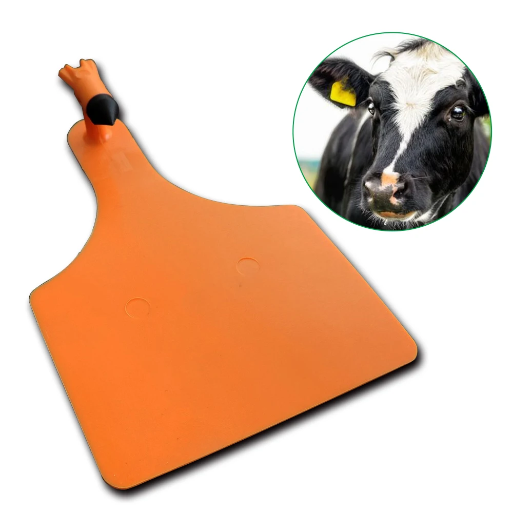 100pcs-Livestock-Identification-One-piece-Ear-Tags-for-Goats-Sheep ...