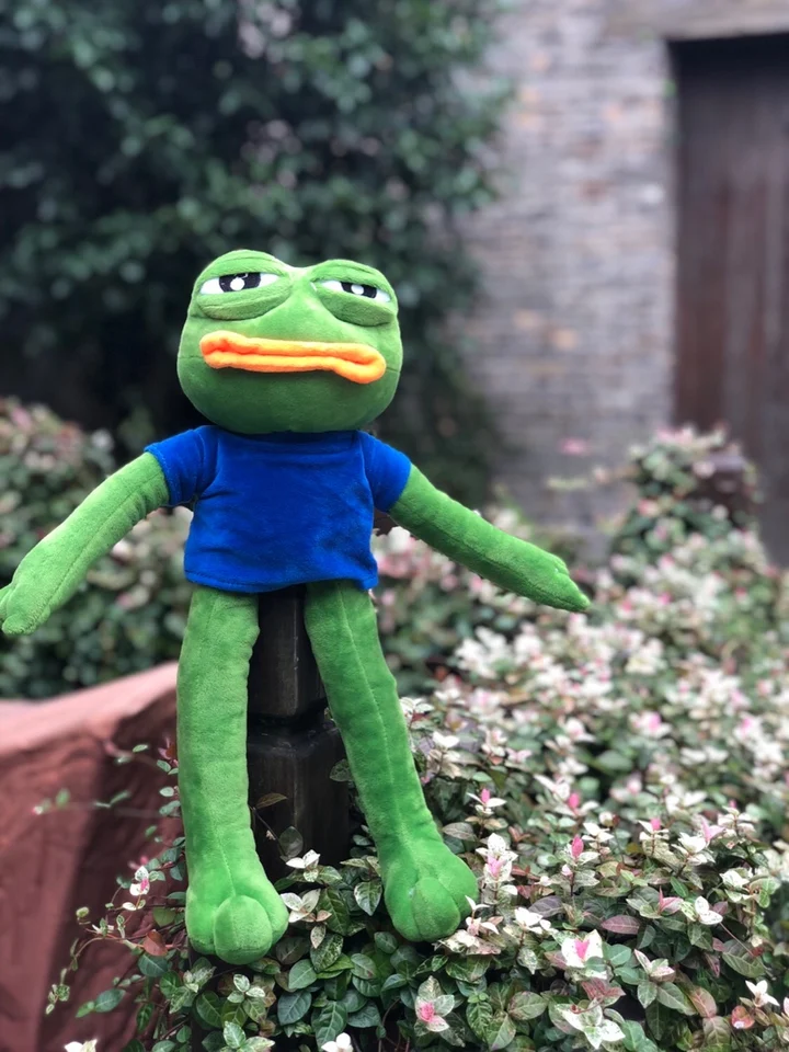 Chunky Ragu Meme - EMSEKFLOL.COM