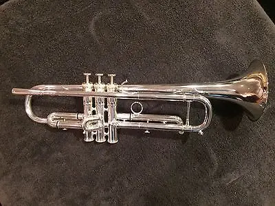 CALICCHIO 1s2L Furo Grande Trompete Bb Oregon|trumpet stand|trumpet ...