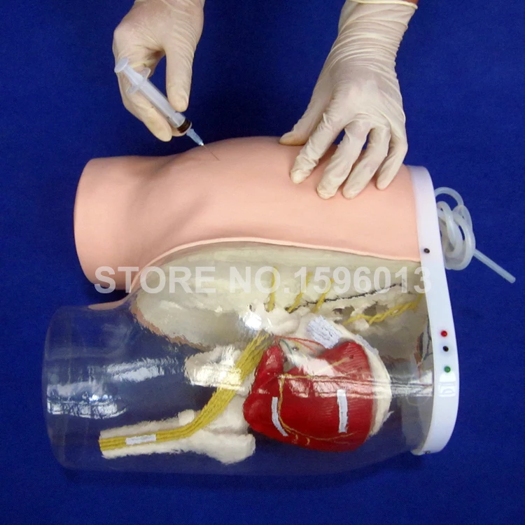 Buttocks-Intramuscular-Injection-Training-and-Contrastive-Model ...