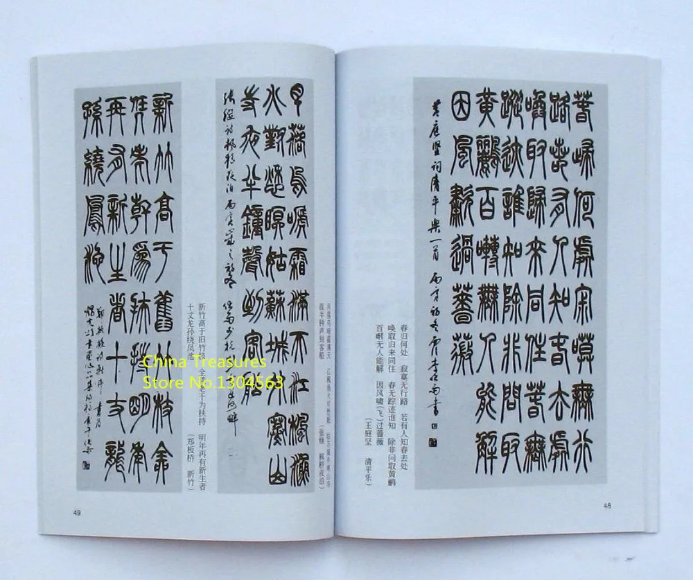 Chinese Calligraphy Book Seal Script Zhuan Shu Shu Fa Brush Ink Art ...