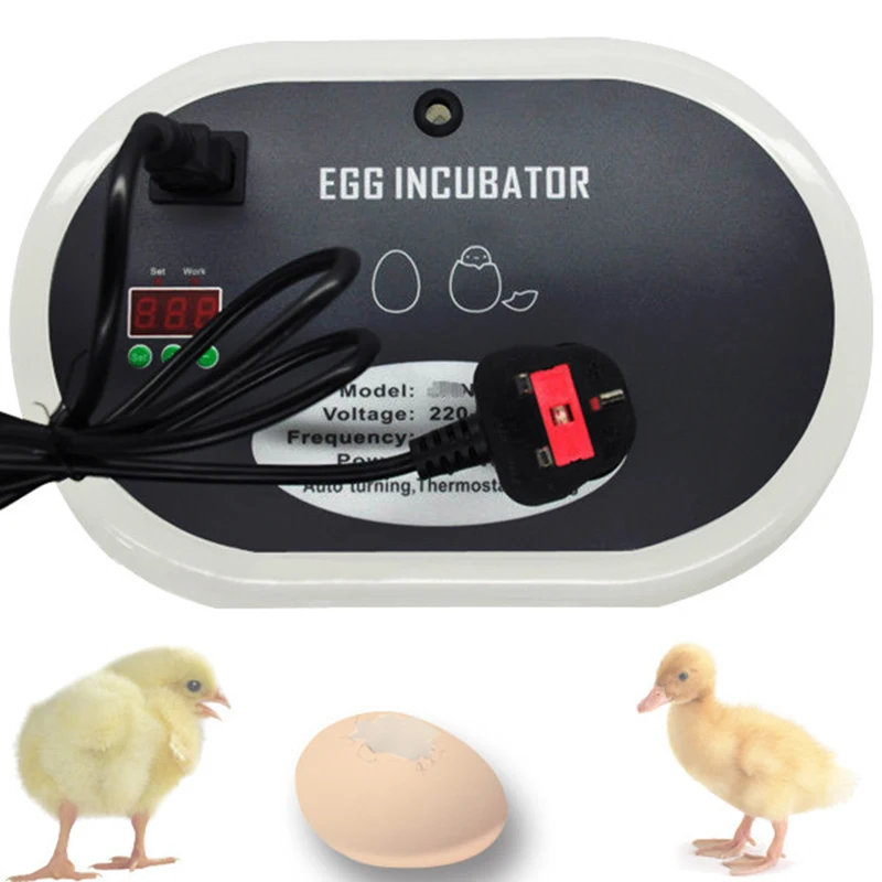 Digital Automatic 12 Eggs Incubator Chicken Incubators Poultry Hatcher ...