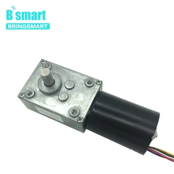 Bringsmart Brushless DC Worm Gear Motor 5840-3650 DC 12V 24V BLDC With Self-locking Braking ...