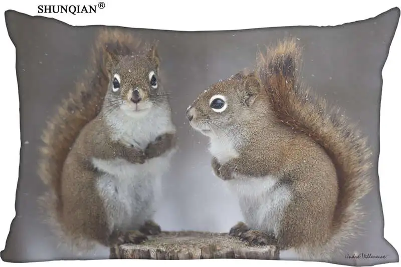 New Squirrel Pillow Case Custom Wedding Pillowcase Cover Cases Gift ...