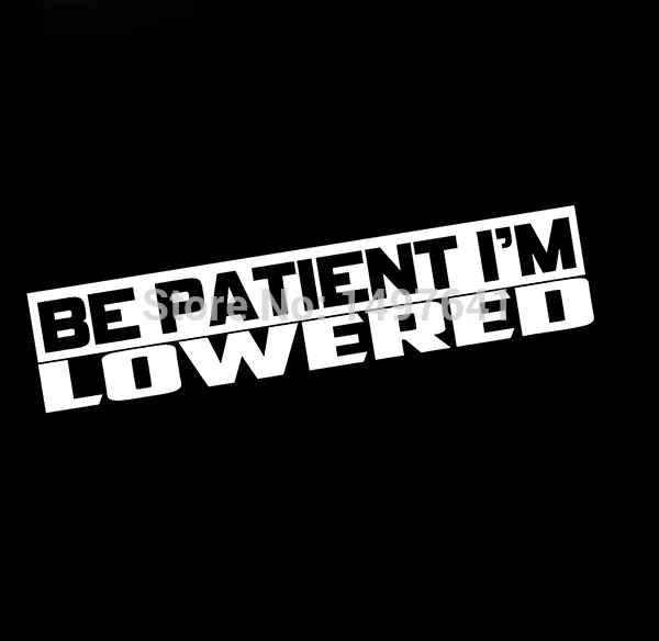 Lowered Expectations Bumper Stickers Car Stickers