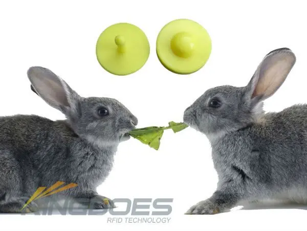 RFID 134.2KHz Ear tag for Rabbit & Hare-in Access Control Kits from ...
