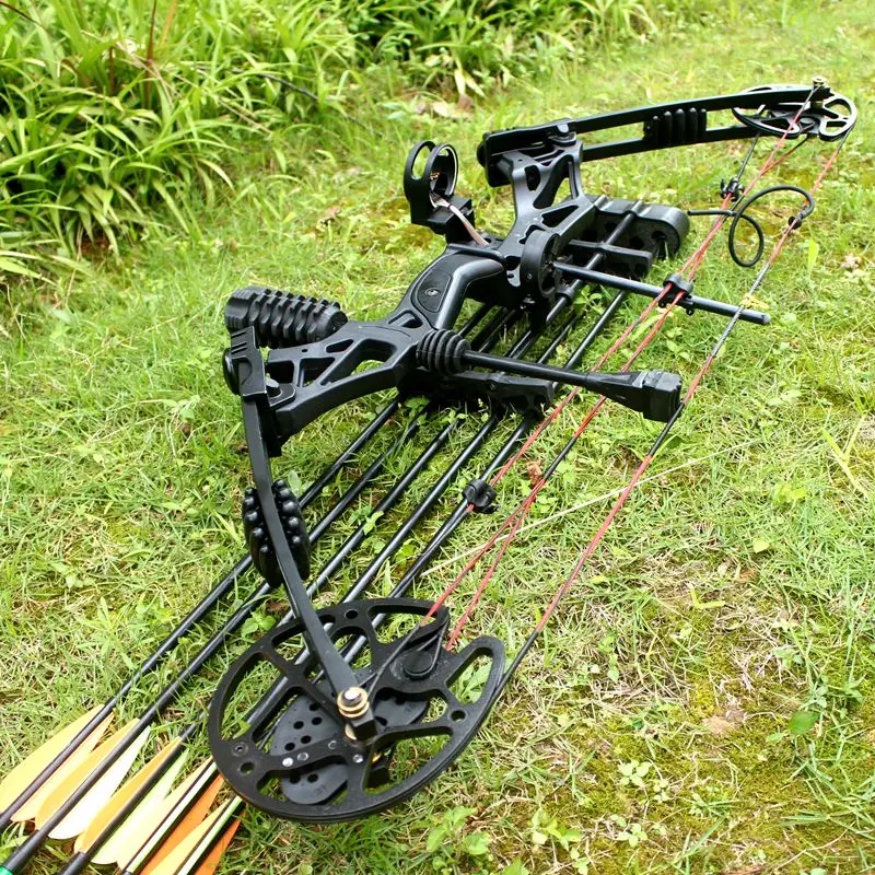 35 ~ £ 330fps Carbone Tir À L’arc Chasse-composé-arc Ensembles | gump.me