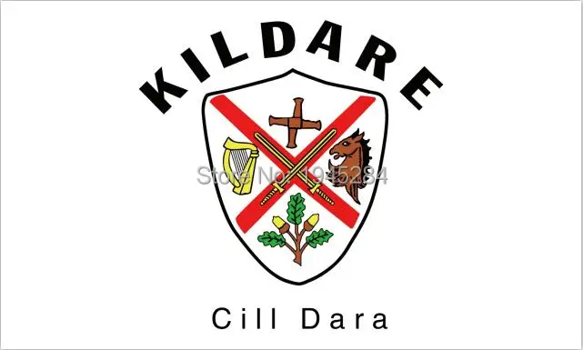 Kildare Ireland County Flag Banner New 3x5ft 90x150cm Polyester 9887 ...