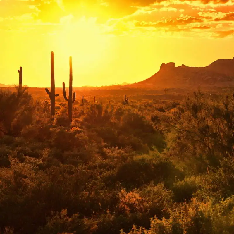 sunset mountain grass backdrop Vinyl cloth High quality Computer print ...