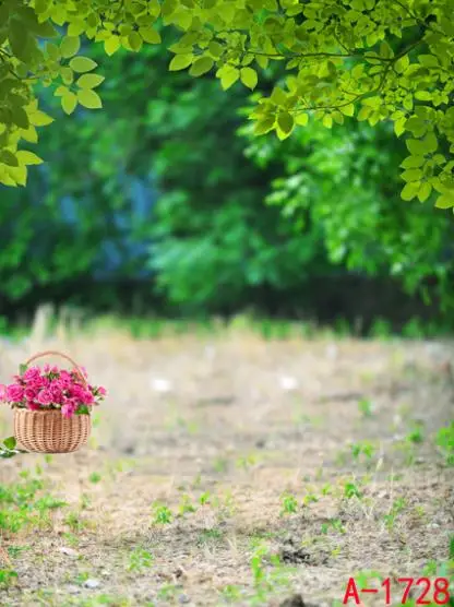 Background Images For Photo Shoot