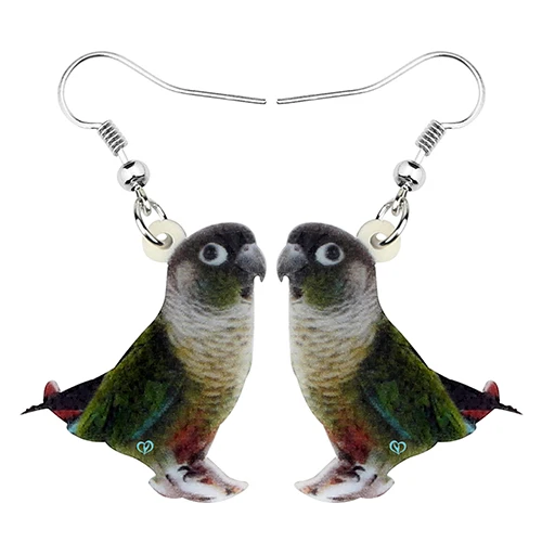 Green-cheek Conure Parrot Earrings – Parrot Shop