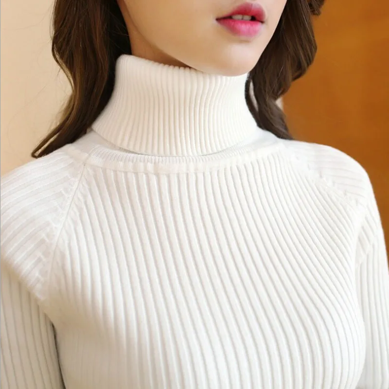 Solide Col Roulé Femmes Chandails Pull Jumper Tops Nouveau 2017 Automne ...