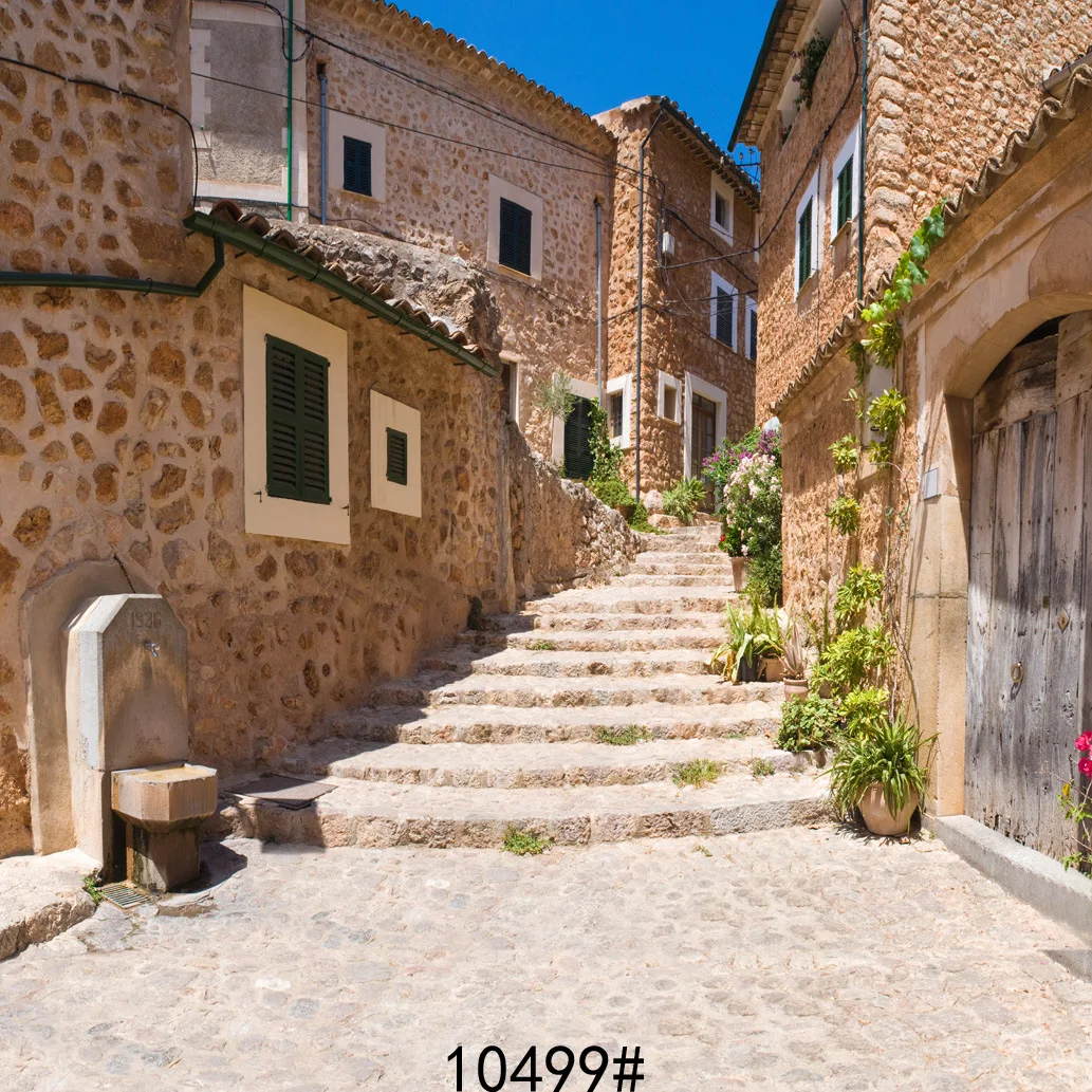 Dream Town Street Photography Backdrops Stairs Photo Studio Background ...