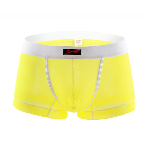 Sexy Men Underwear Transparent Mesh Boxers Shorts Man Breathable Low ...