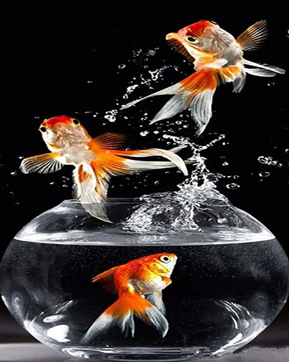 Diamond Painting Koi Golden Fish DIY 3D Diamond Embroidery Fish Jumps ...