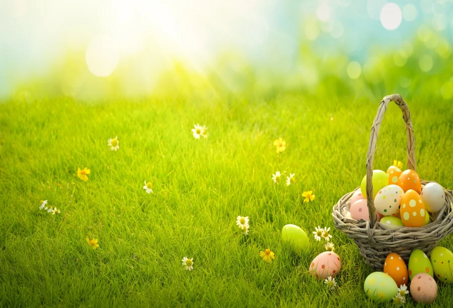 Laeacco-Photo-Backgrounds-Green-Shiny-Polka-Dot-Green-Grass-Happy ...