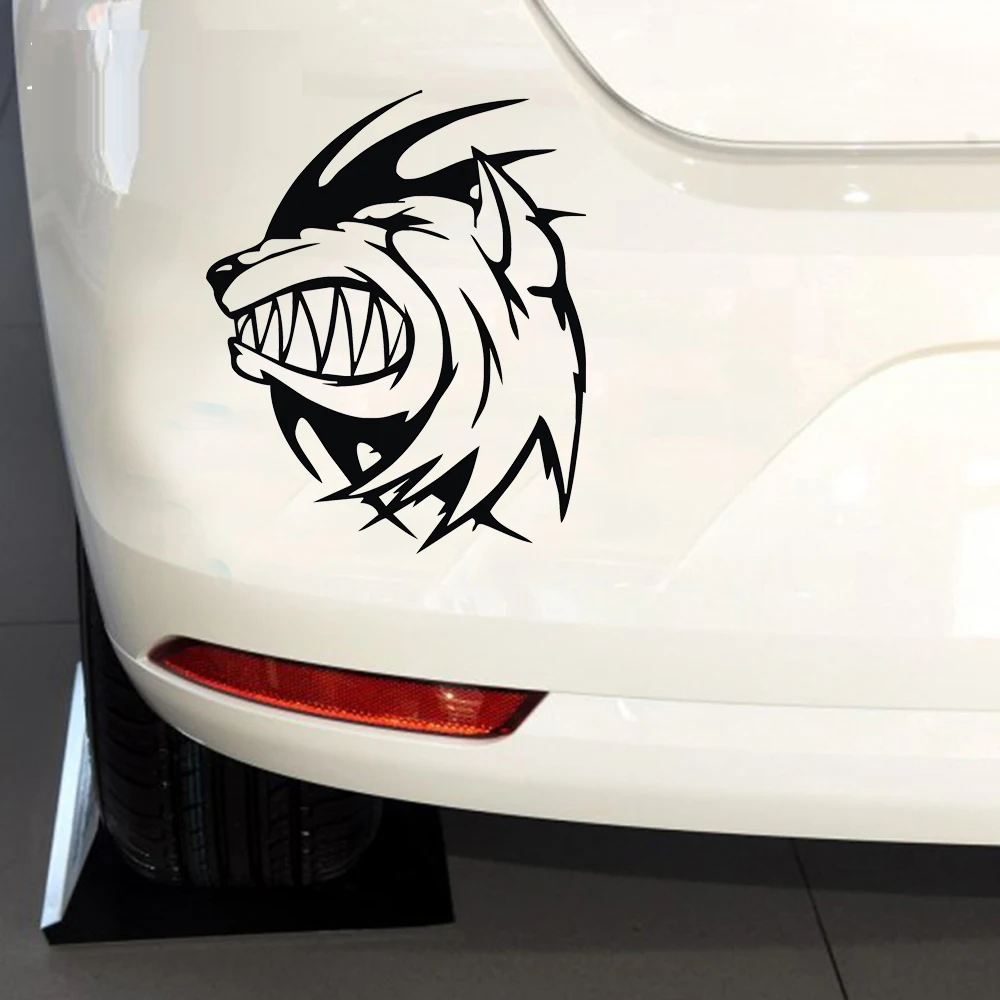 Cool Car Decals And Graphics