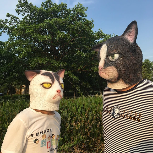 Funny Angry Cat Face