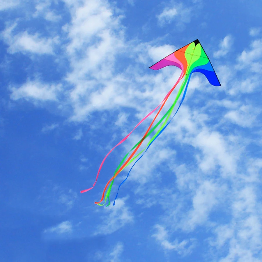 2.5m / 8.2ft Large Kite Flying Resin Frame Rainbow Beach Kite With Tail ...