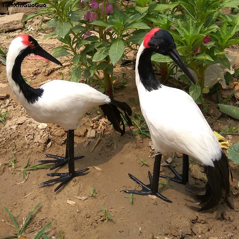 Simulation Feathers Red-crowned Crane Bird About 28x30cm Hard Model,one ...