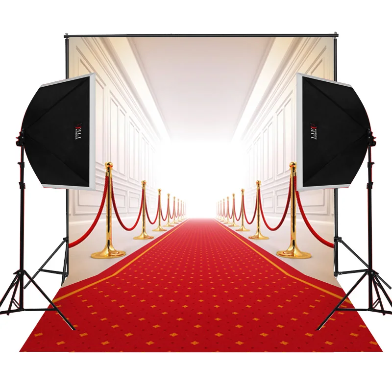 Red Carpet Camera Flashes
