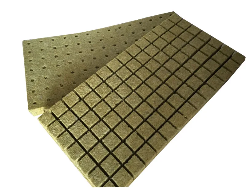 Rock Wool Cubes Grodan A-OK 50/40 6/15 Rockwool Starter Cubes ...