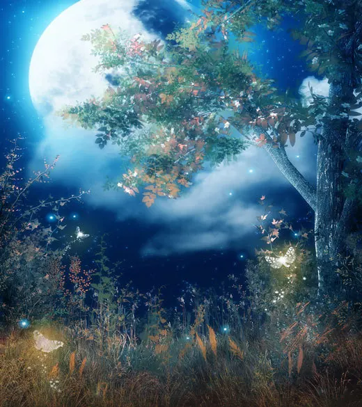 10x10ft Photography Studio Backdrop Moonlight Background Muslin Photo ...