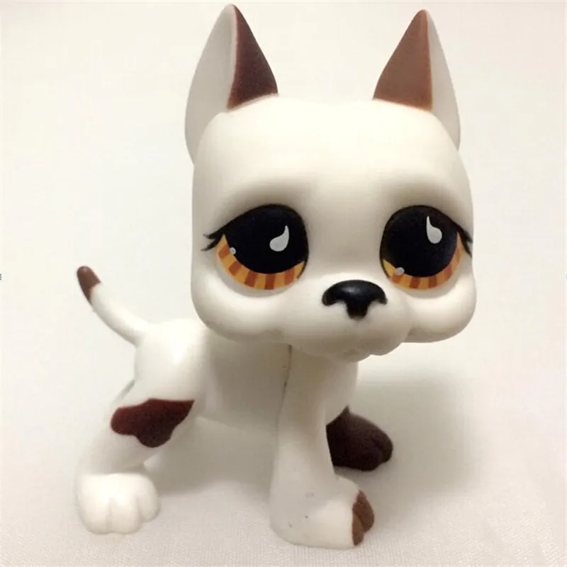 lps Collections Pet Shop CAT GREAT DANE #817 white dog star eyes Rare ...
