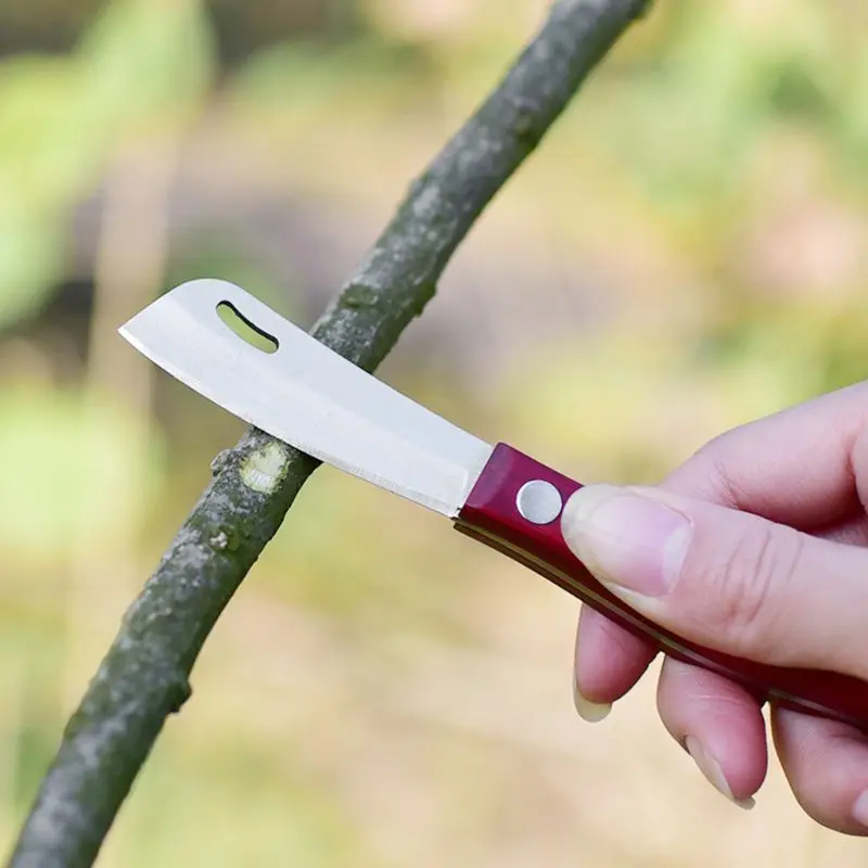 Pruning Graft Knife Bud Knife Fruit Cutting Wood Picking Tree Knife ...
