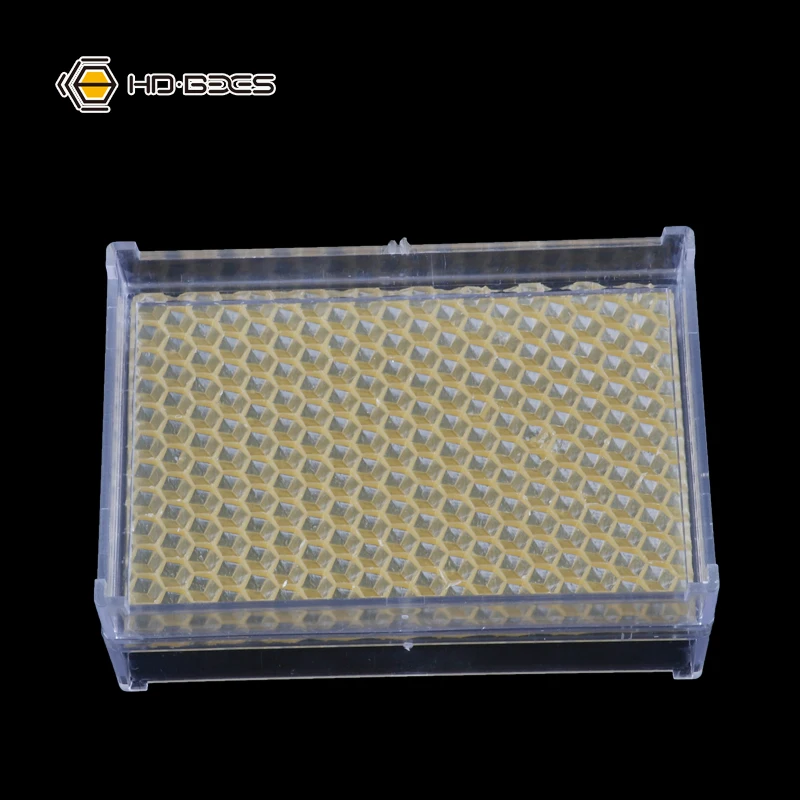 Bee Beekeeping Comb Honey Cuboid Cassette Bees Equipment and Tool ...