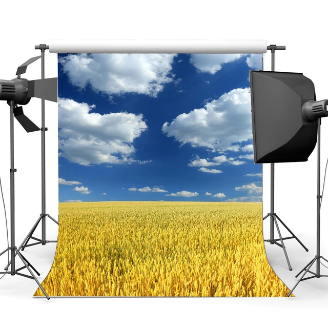 Golden Wheat Field Wallpaper