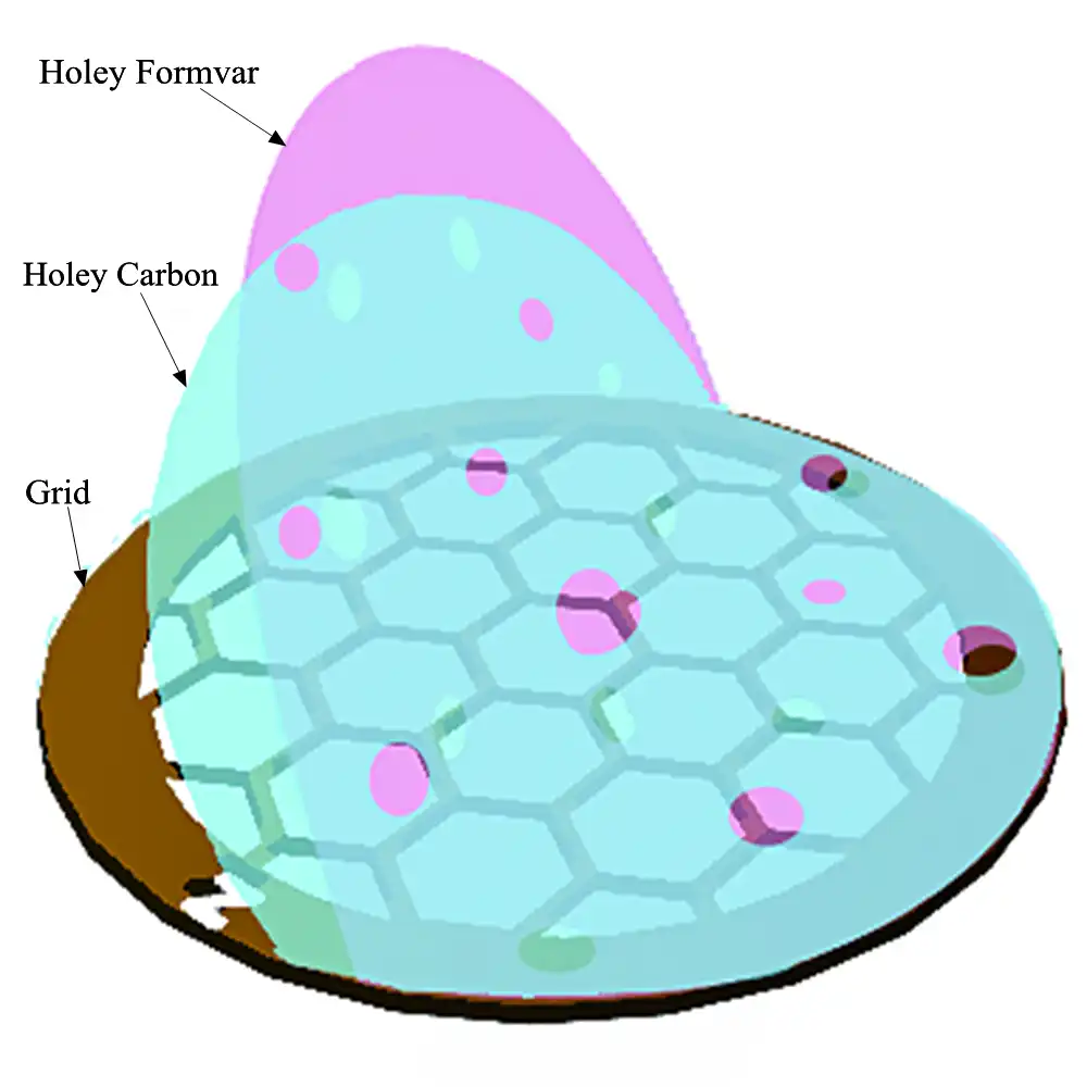 Ultrathin Carbon Film on Lacey Formvar/Carbon For TEM Grids| | - AliExpress