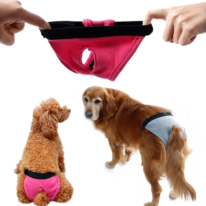 do align shorts run small dog