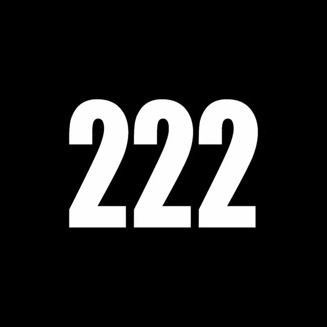 YJZT 13.2CM*9CM Fashion Fun Race Number 222 Vinyl Decals Car Sticker ...