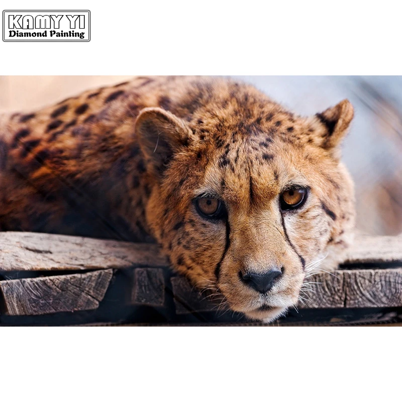 Diamond Embroidery cheetah 5D Diy Diamond Painting Full Dill Square ...