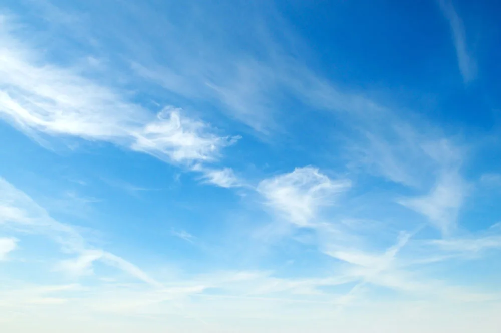 SHENGYONGBAO 7x5ft Art Cloth Custom Sky Theme Photography Backdrops ...