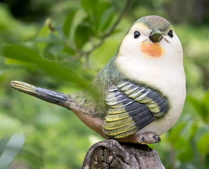 Cute Fat Bird