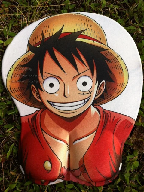 One Piece Monkey D Luffy 2 Years Later