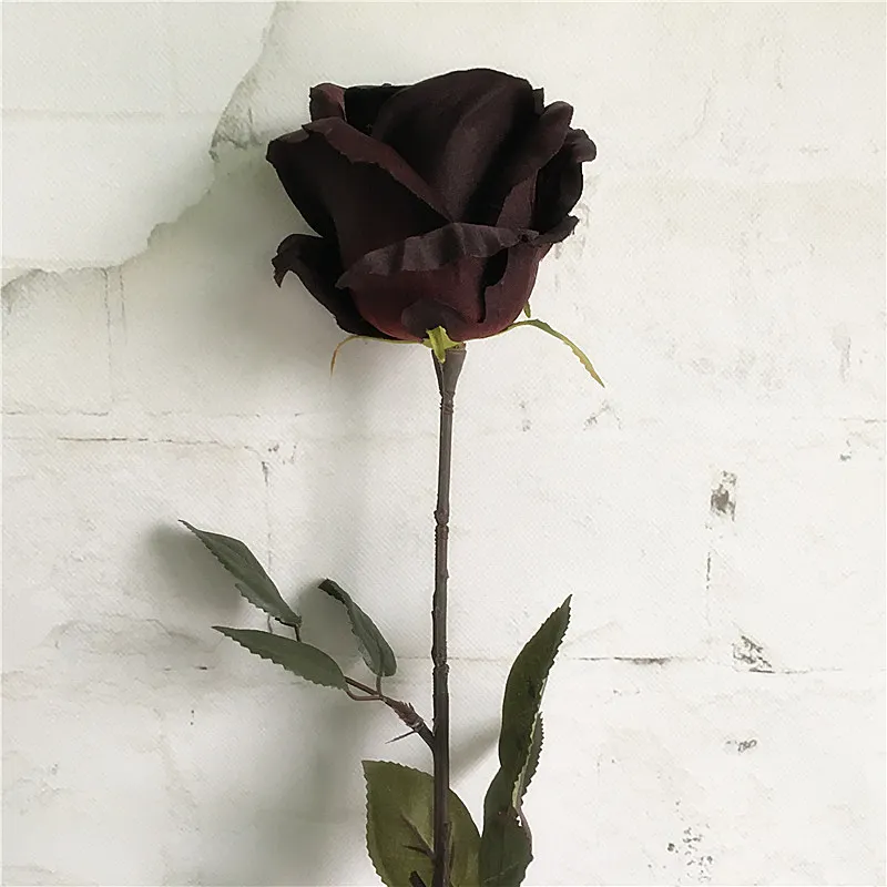 Single Black Rose Flower