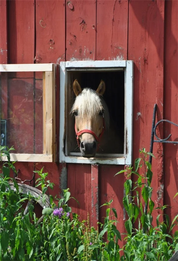 Aliexpress.com : Buy Laeacco Rural Farm Horse Stable Landscape ... Aliexpress.com : Buy Laeacco Rural Farm Horse Stable Landscape ...