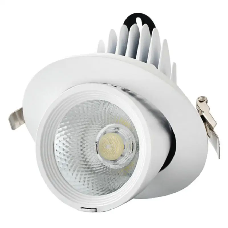30W-40W-360-degree-rotation-LED-Downlight-LED-Ceiling-Lamp-Down-Light ...