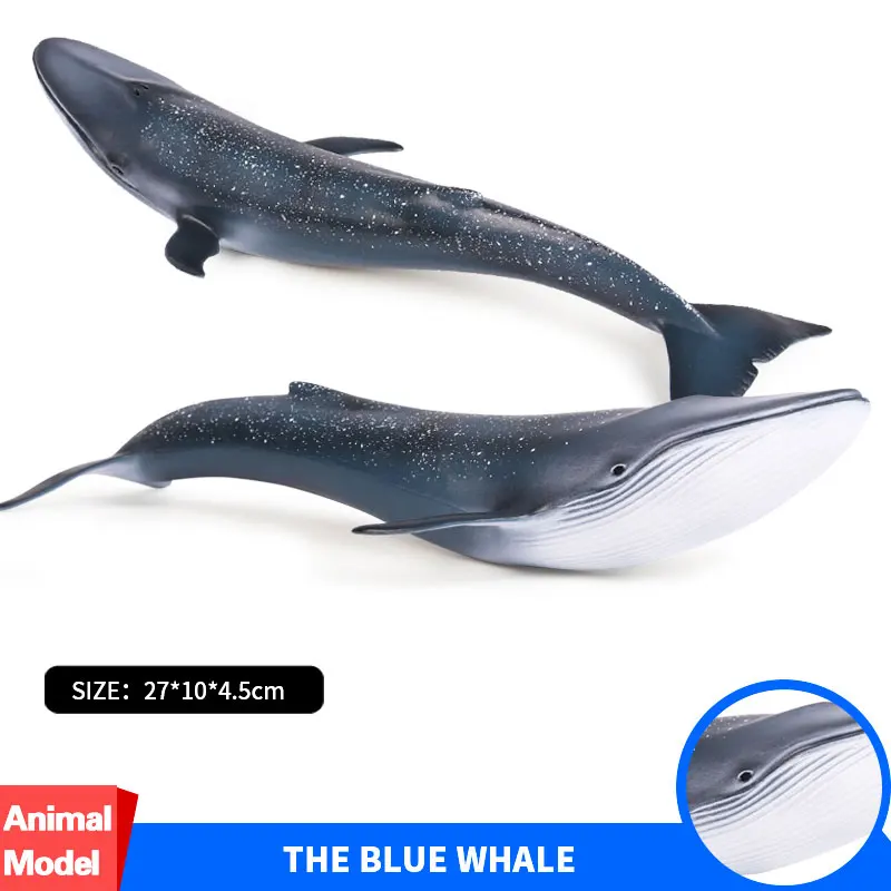 Oenux Original Marine Life Sea Life Simulation Animals Action Figure ...
