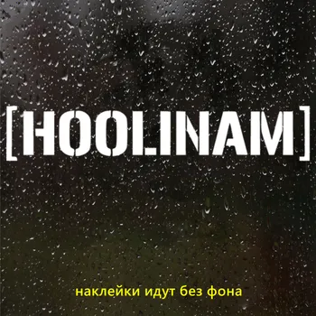 CK2817#24*4.5cm HOOLINAM hoolinam funny car sticker vinyl decal silver ...