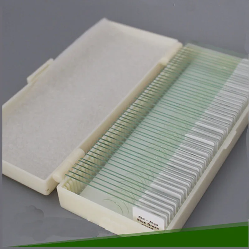 50pcs / box Prepared Glass Microscope Slides Biology Specimen for ...