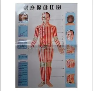 3 pcs Human Meridian Scraping wall chart guasha wall map acupuncture ...