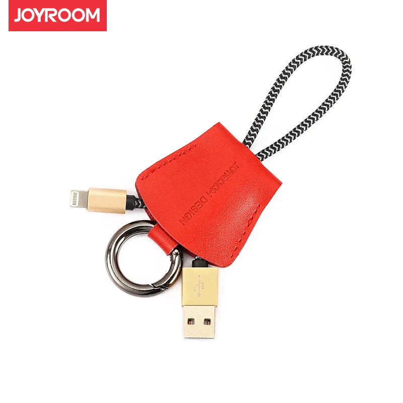 Keychain-for-iPhone-5-5s-SE-5c-6-6s-7-Plus-USB-Cable-Short-Charging ...
