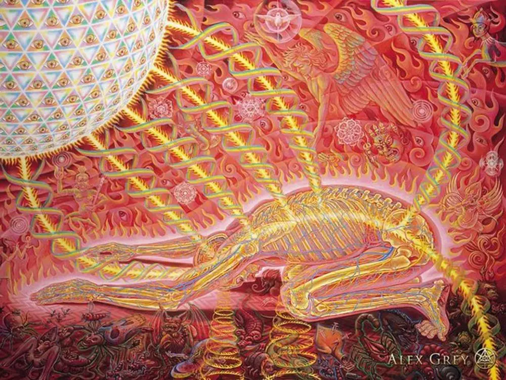 poster 32x24" 17x13" Trippy Alex Grey Wall Poster Print Home Decor Wall ...