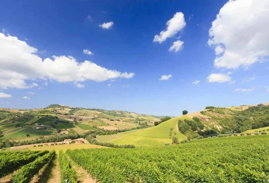 Laeacco Sunny Rural Farm Fields Landscape Photography Backdrops Vinyl ... Laeacco Sunny Rural Farm Fields Landscape Photography Backdrops Vinyl ...